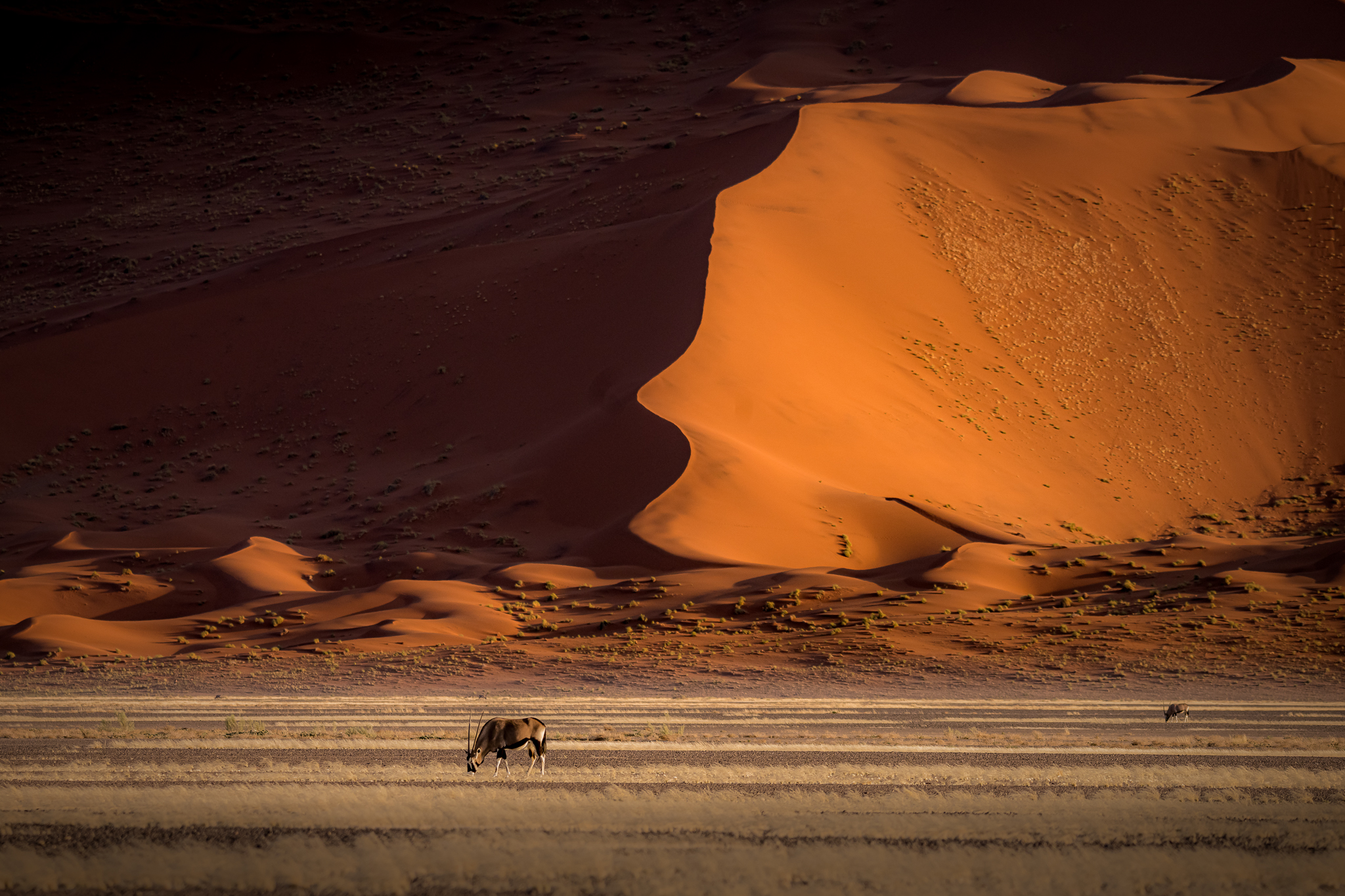 Kierunek Namibia - o Namibii wiemy wszystko